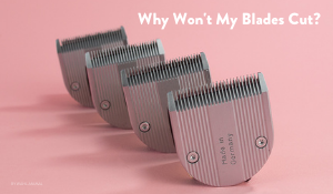 Why Won't My Blades Cut?
