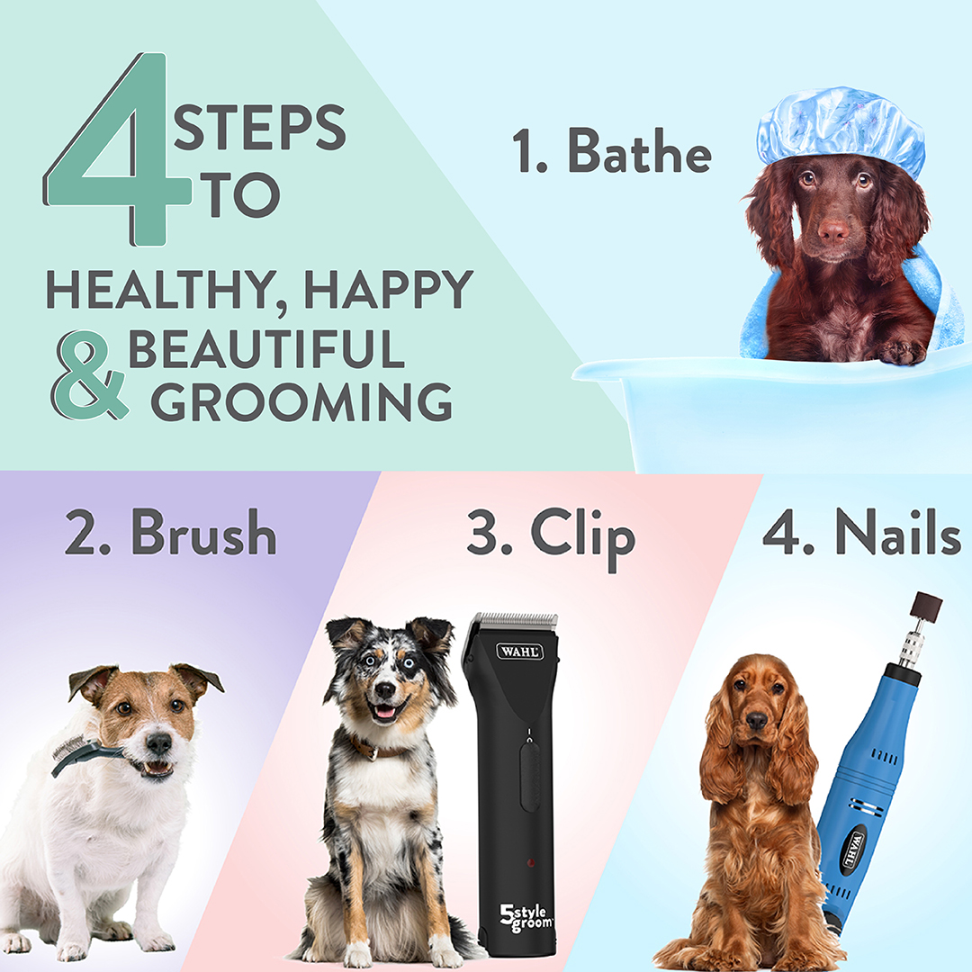 4 Steps to Healthy, Happy, and Beautiful Grooming
