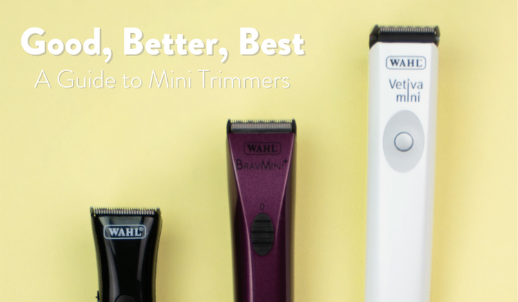 Which Mini Trimmer is Right for You?